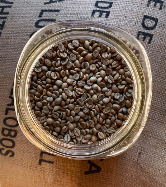 Cours #1 Introduction au monde du café – La Maison Smith